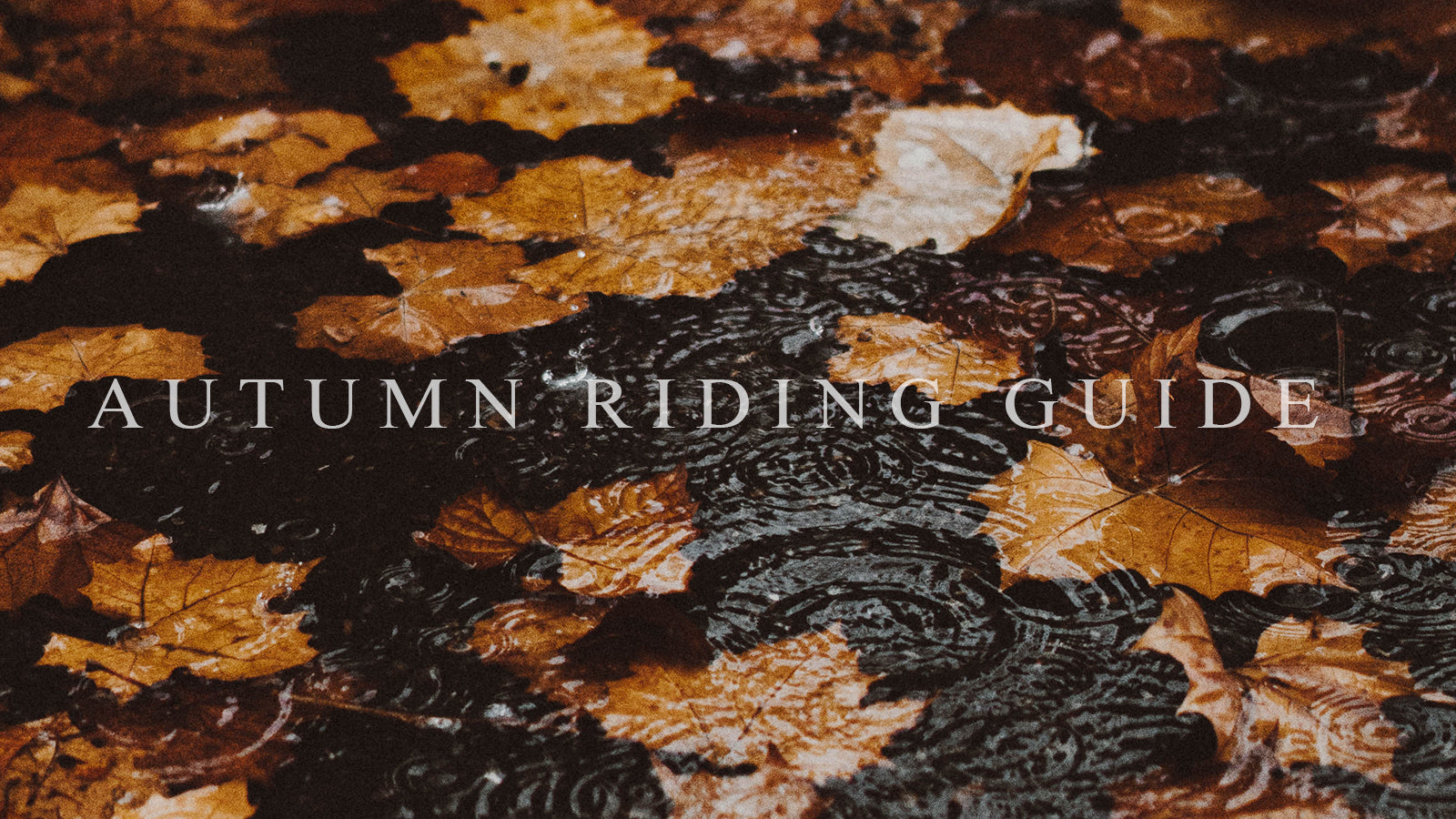 Tips For Cycling in Autumn Weather | KBO Bike