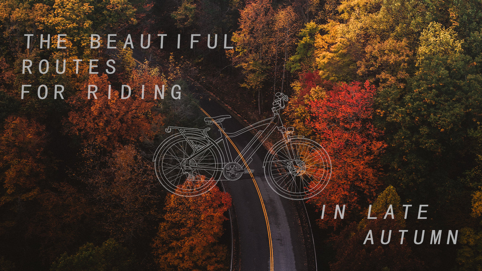 5 Beautiful Cycling Trails To Ride In Autumn | KBO Bike